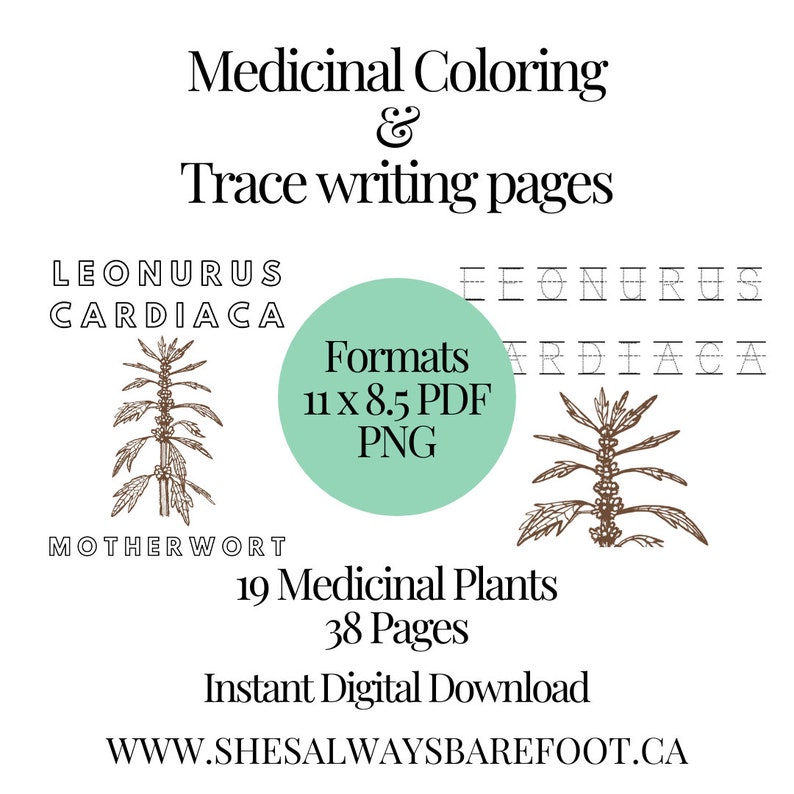 Medicinal Plant Coloring & Trace Writing Pages - Etsy