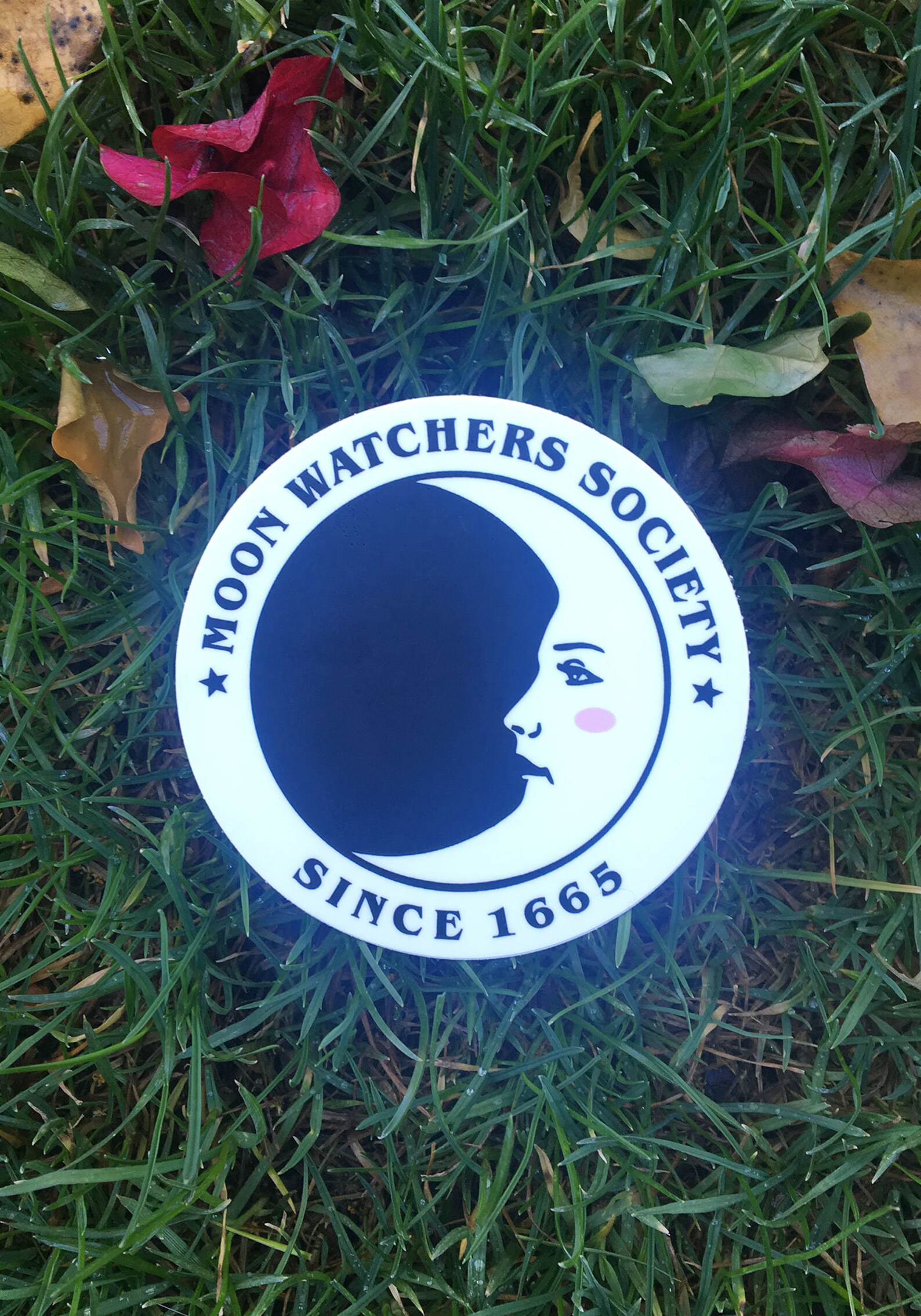 Moon Watchers Sticker Moon Sticker Car Moon Sticker Packs - Etsy
