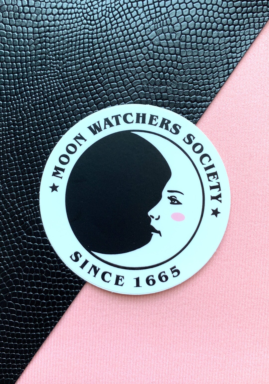 Moon Watchers Sticker Moon Sticker Car Moon Sticker Packs - Etsy