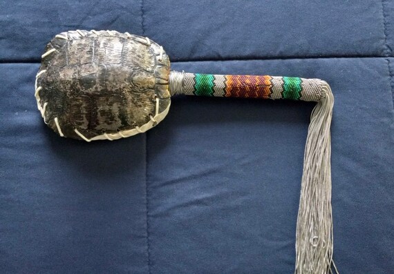 Other Assemblage Art & Collectibles MtManCreations Baby Turtle Shell ...