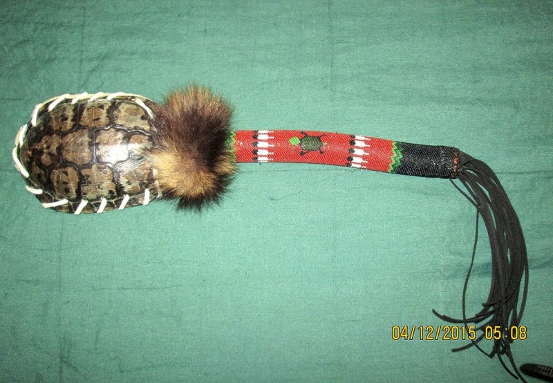 Other Assemblage Art & Collectibles MtManCreations Baby Turtle Shell ...