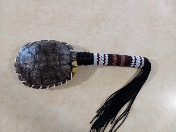 Other Assemblage Art & Collectibles MtManCreations Baby Turtle Shell ...