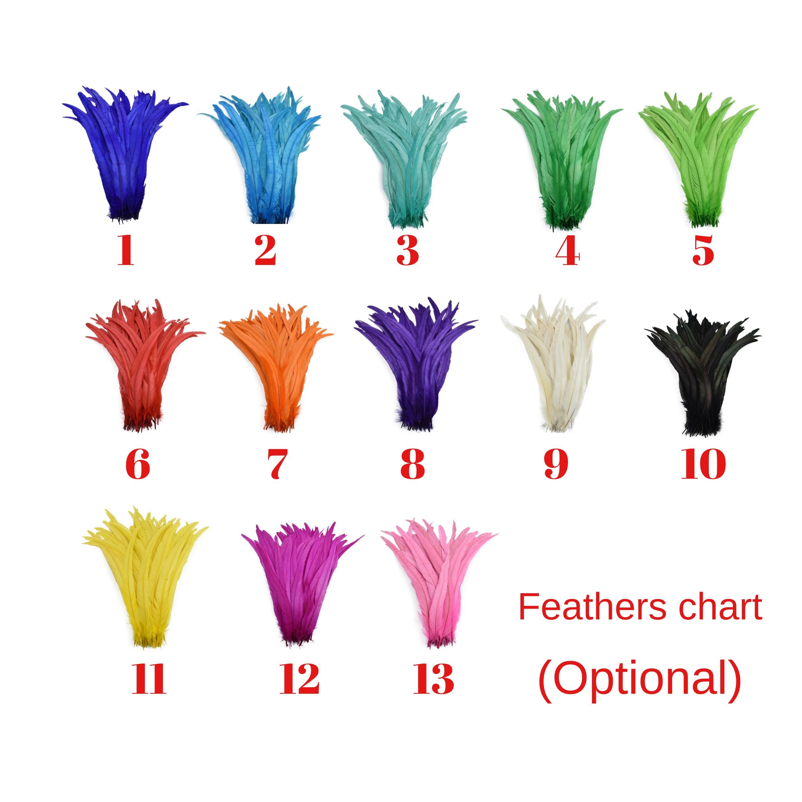 Samba brasileño rojo/naranja Rio carnaval SAMBA baile TRAJE bikini/Show ...