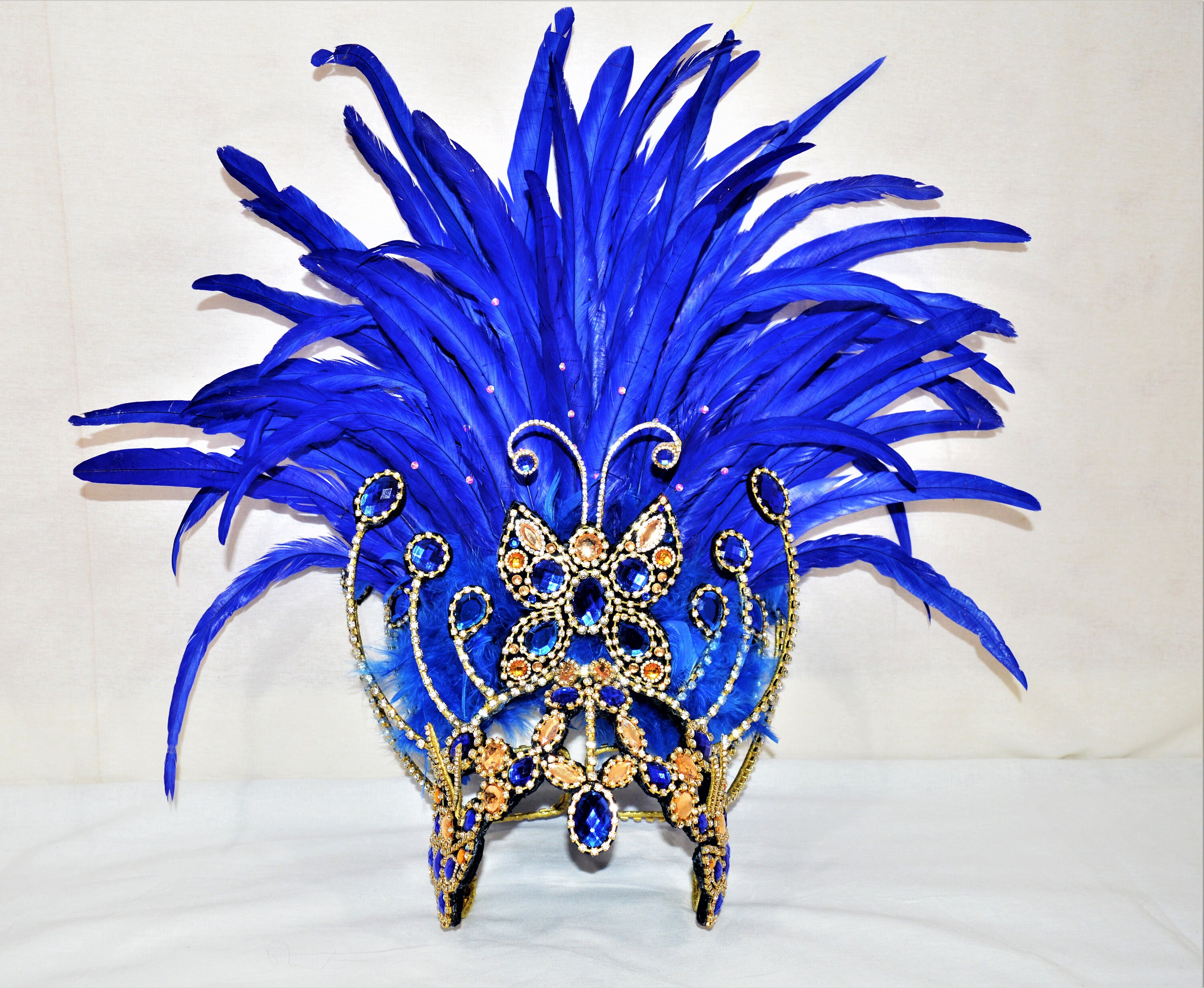 Blue Butterfly Brazilian Rio Carnival SAMBA Dance COSTUME Bikini/show ...