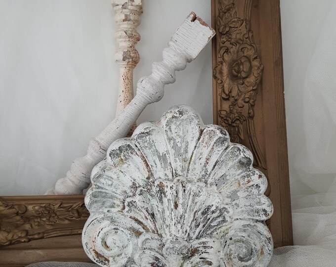 Vintage Style Shell Wall Plaque Scalloped Shell Wall Decor Gallery Wall ...
