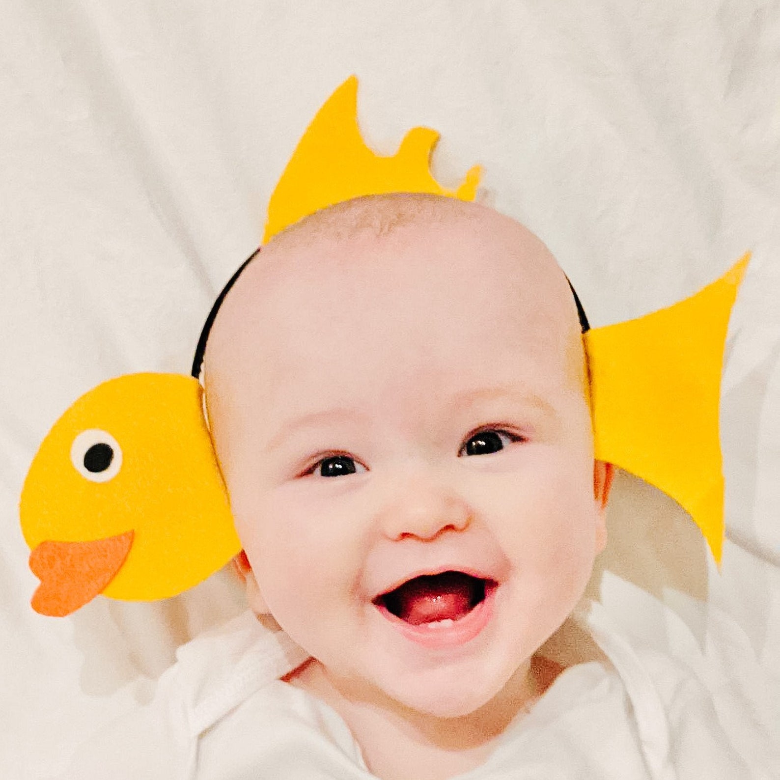 Fish Under the Sea Theme Headbands Birthday Party Favors - Etsy