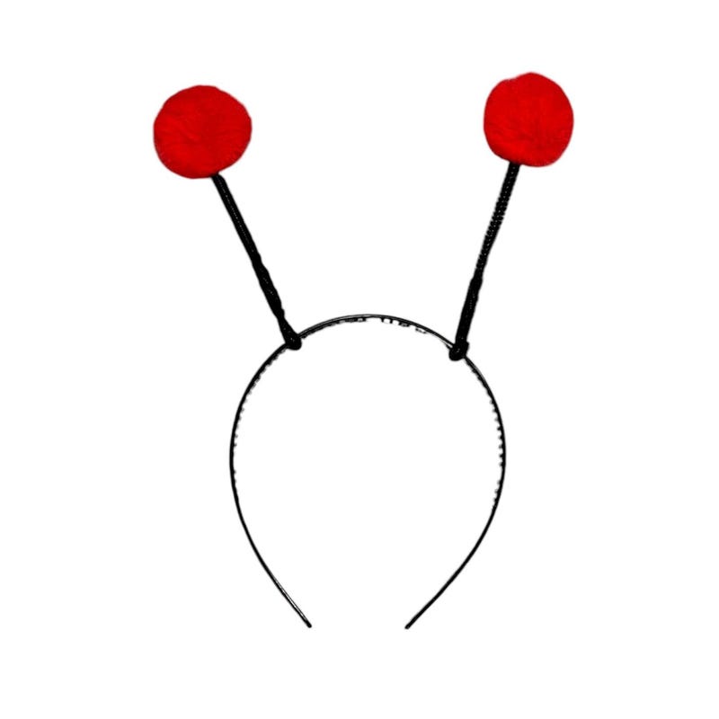 Lady Bug Infestation in New York - Etsy Canada