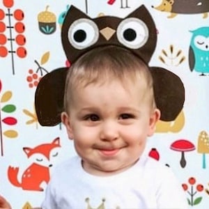Owl Headband Ears and Face Woodland Creature Theme Birthday Party ...