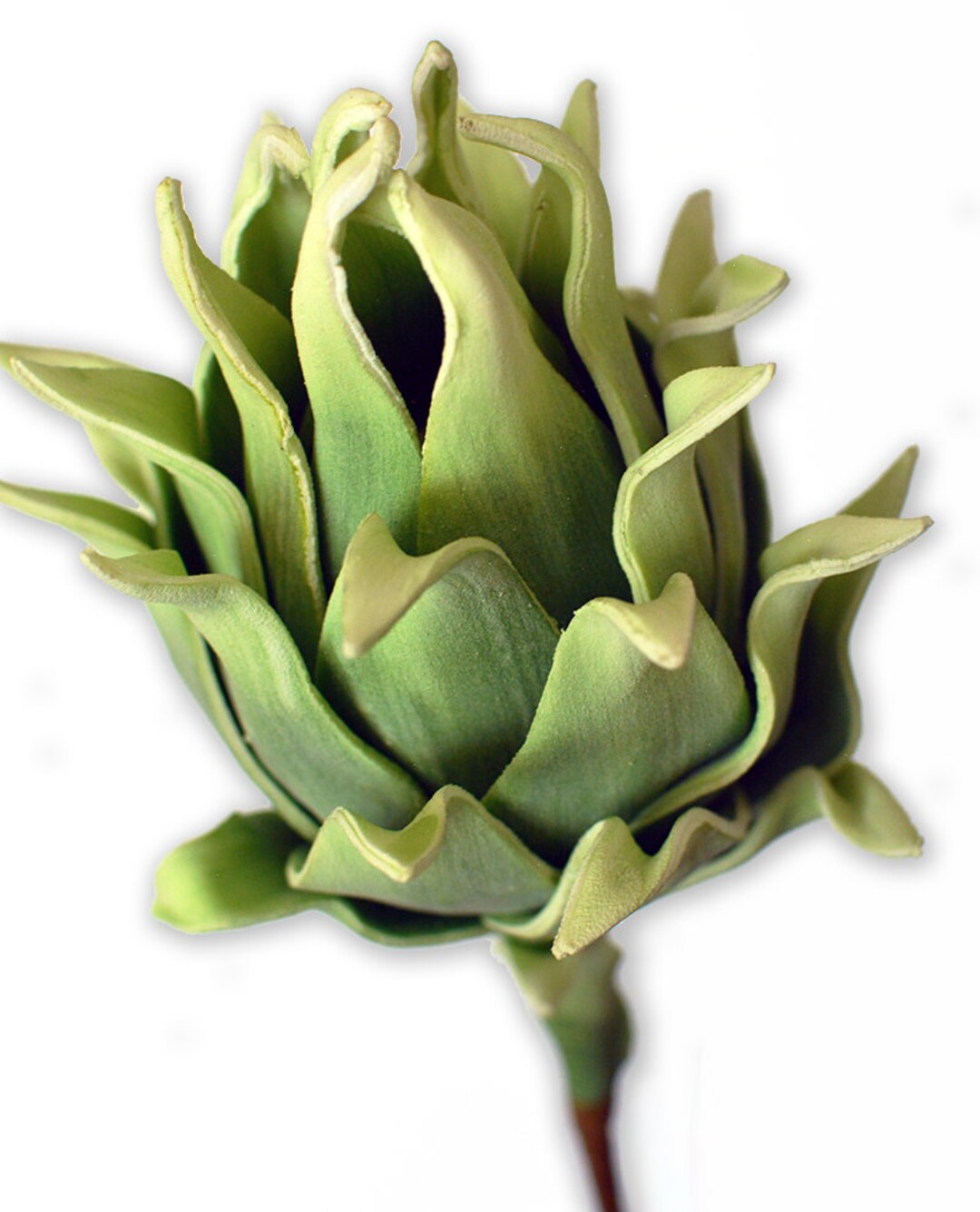 Foam Flower Botanical - Succulent - Realistic Foam Botanical - Green ...
