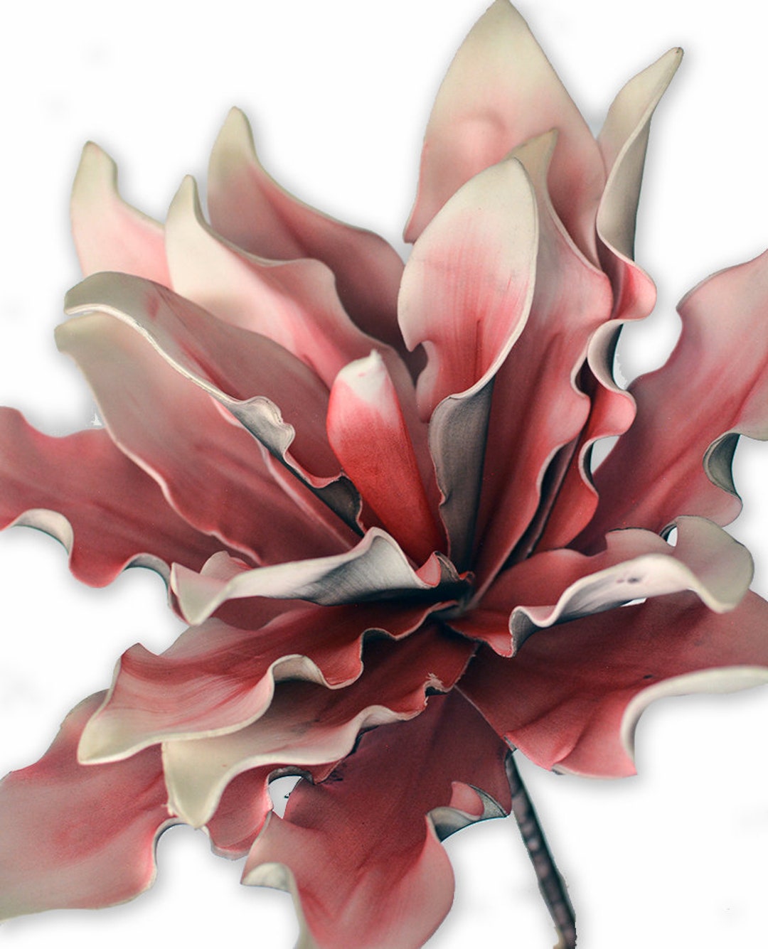 Foam Flower Botanical - Realistic Foam Botanical - - Etsy