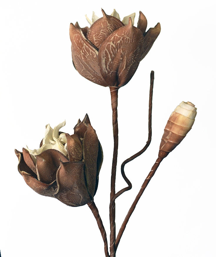 Foam Flower Botanical - Realistic Foam Botanical -brown Flower-pretty ...