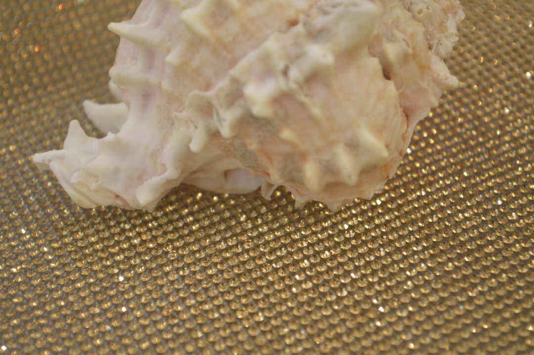 Gold Sparkling Rhinestone/crystal Sheet (20x24cm),iron on Fabric, Glue ...