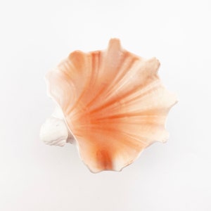 Vintage Porcelain Shell Dish Seashell Candy Dish - Etsy