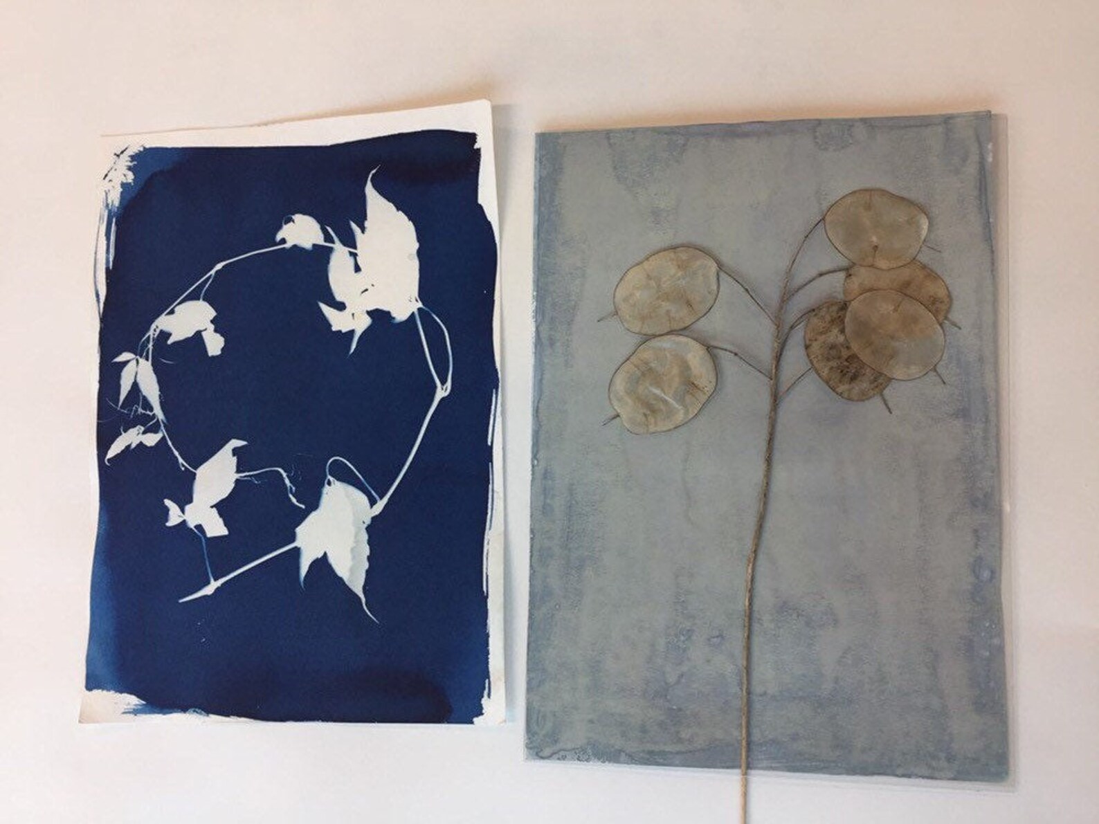 Make Your Own Cyanotype Print - Light Sensitive Paper. Create Your Own ...