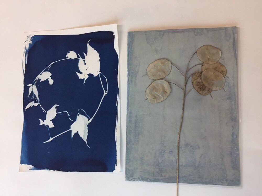 Make Your Own Cyanotype Print Light Sensitive Paper. Create - Etsy