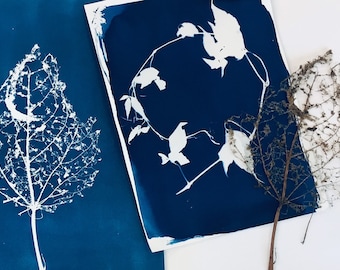Cyanotype Kit Create Your Own Botanical Sun Print. | Etsy