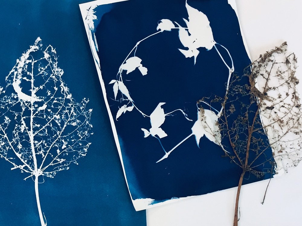 Make Your Own Cyanotype Print Light Sensitive Paper. Create - Etsy