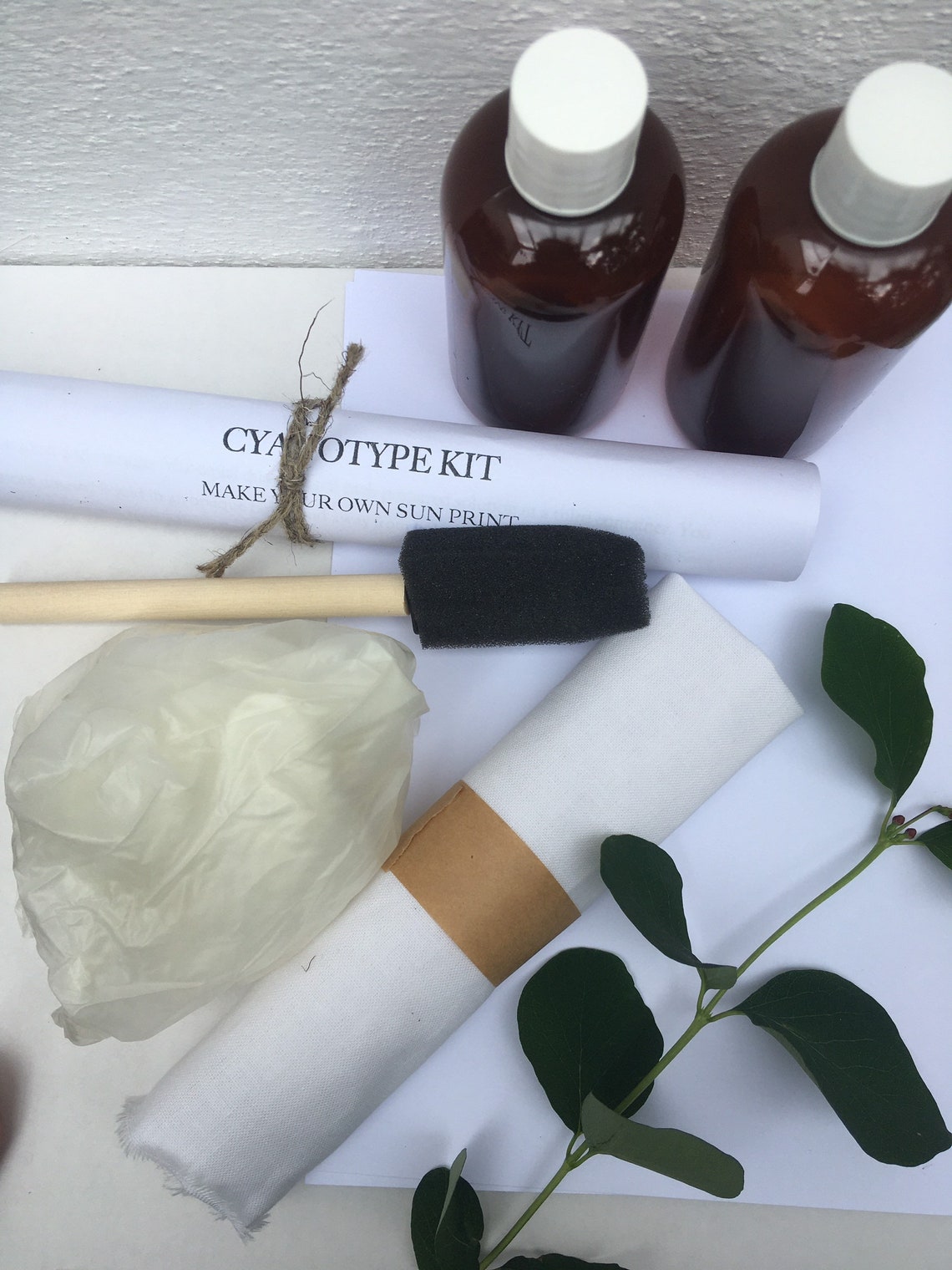 Cyanotype Kit Create Your Own Botanical Sun Print. | Etsy