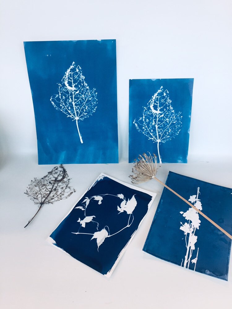 Make Your Own Cyanotype Print Light Sensitive Paper. Create - Etsy