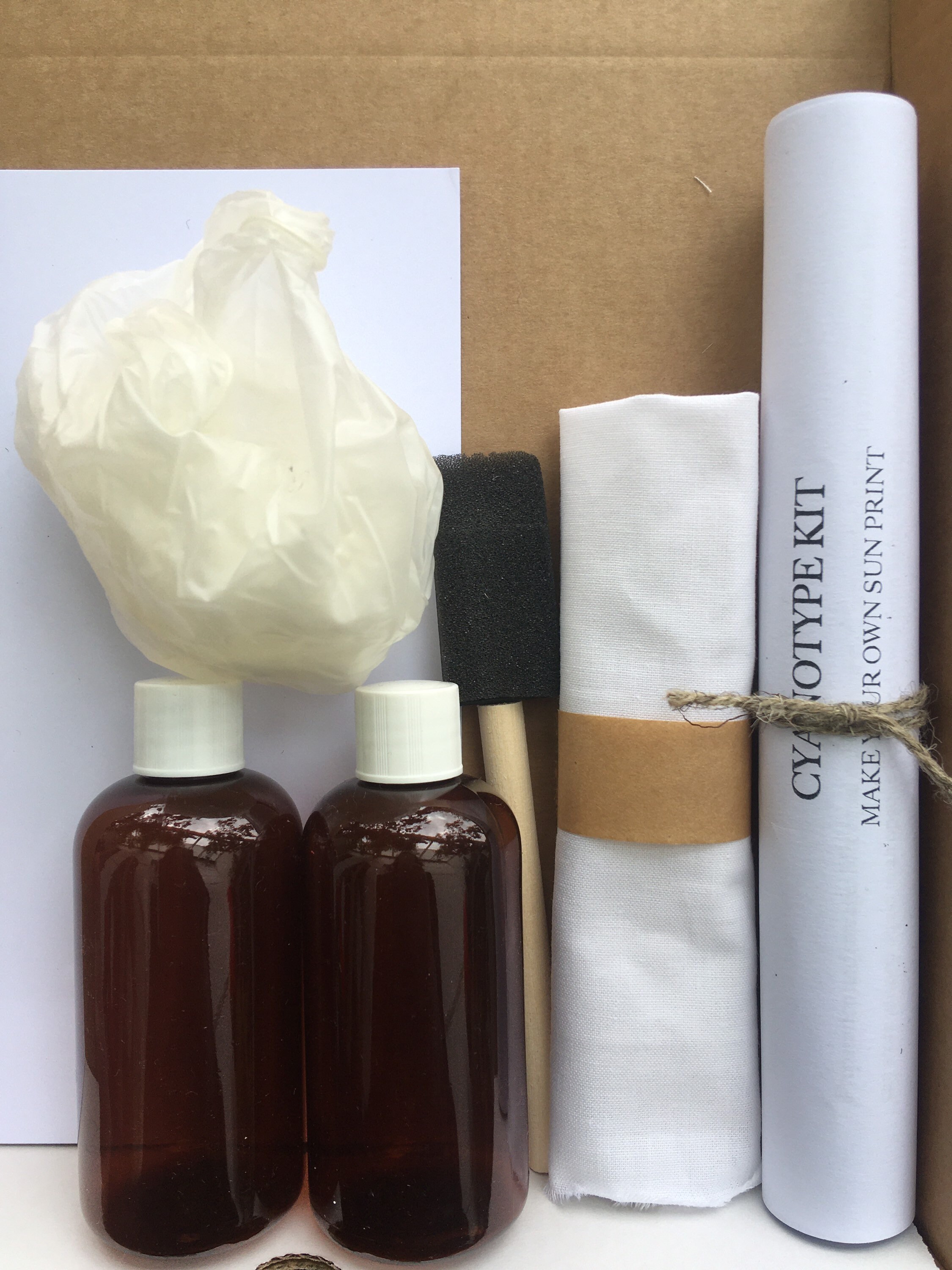 Cyanotype Kit Create Your Own Botanical Sun Print. | Etsy