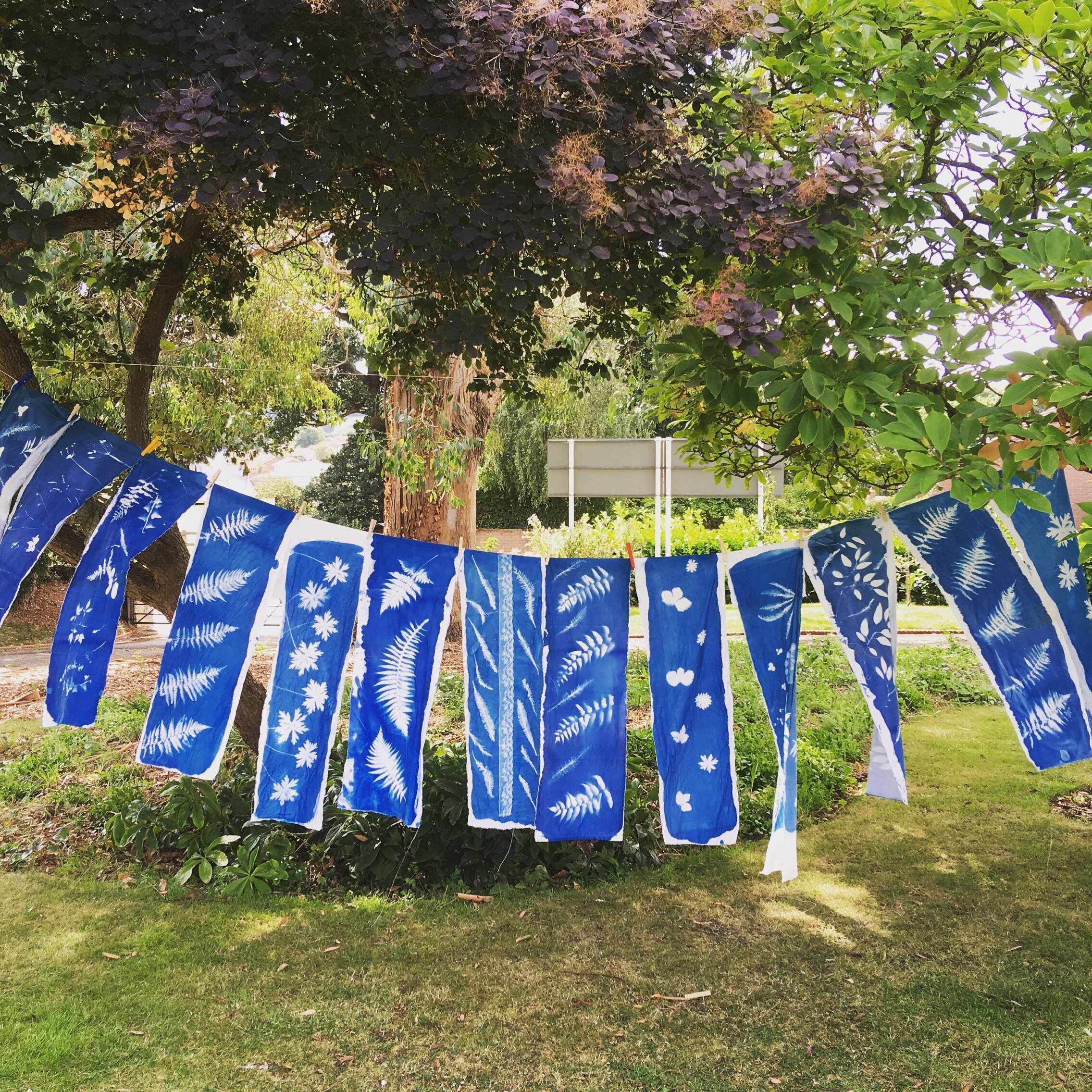 Cyanotype Kit Create Your Own Botanical Sun Print. | Etsy