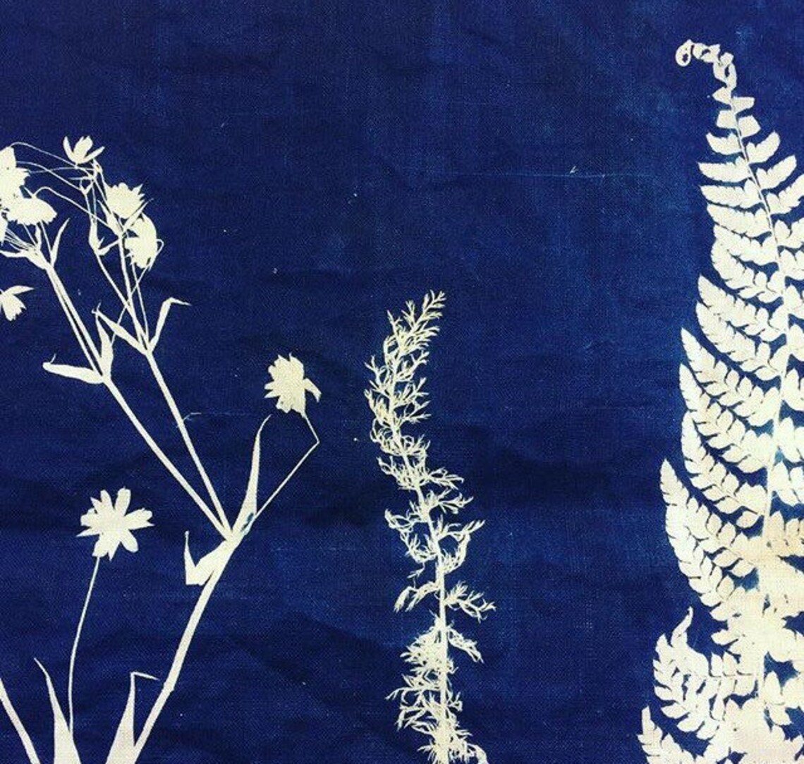 Cyanotype Kit Create Your Own Botanical Sun Print. | Etsy