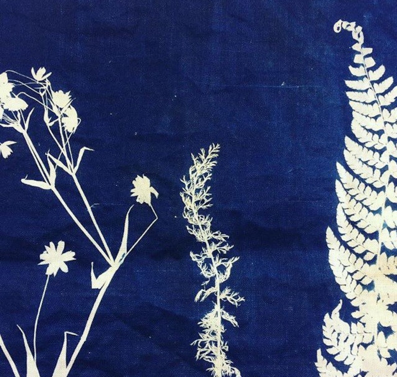 Make Your Own Cyanotype Print Light Sensitive Paper. Create | Etsy UK
