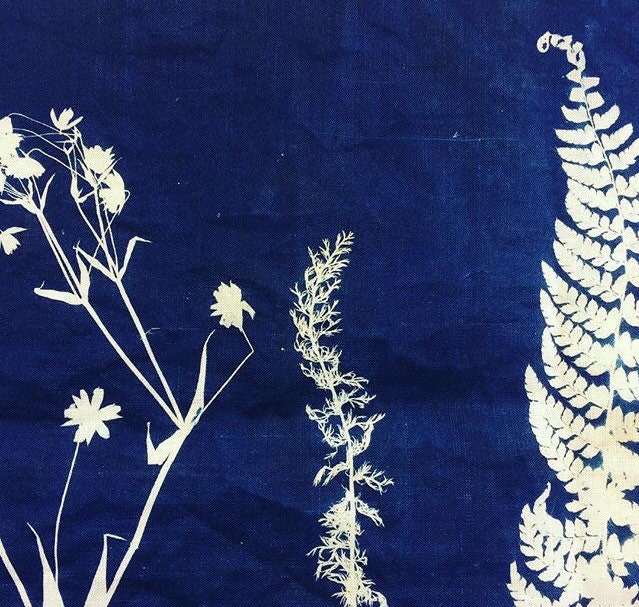 Cyanotype Kit Create Your Own Botanical Sun Print. | Etsy