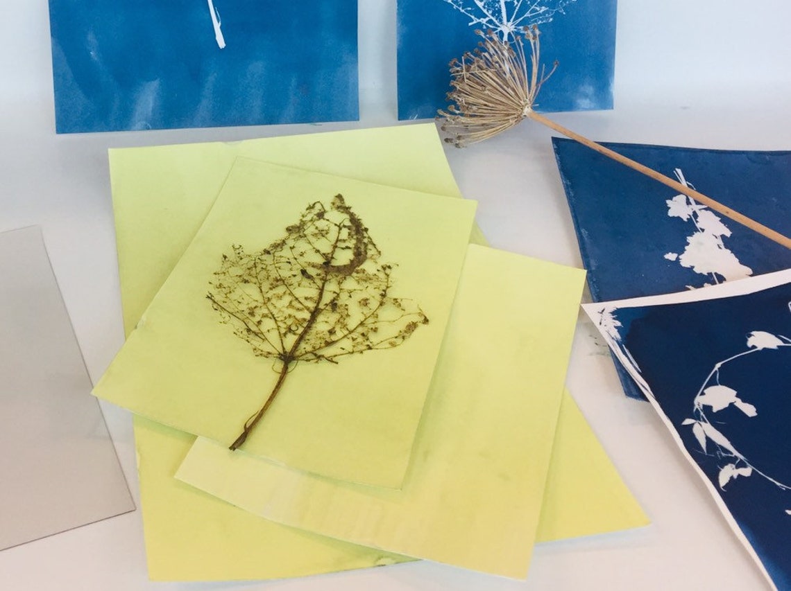 Make Your Own Cyanotype Print - Light Sensitive Paper. Create Your Own ...