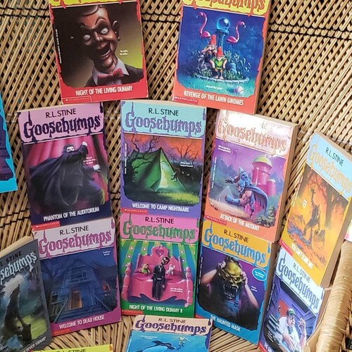 90s Goosebumps Books by R.L. Stein Scholastic Buy 1 or All - Etsy