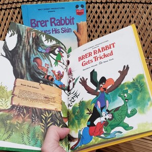 Vintage Brer Rabbit Books Set of 2 Disney's Wonderful World of Reading ...