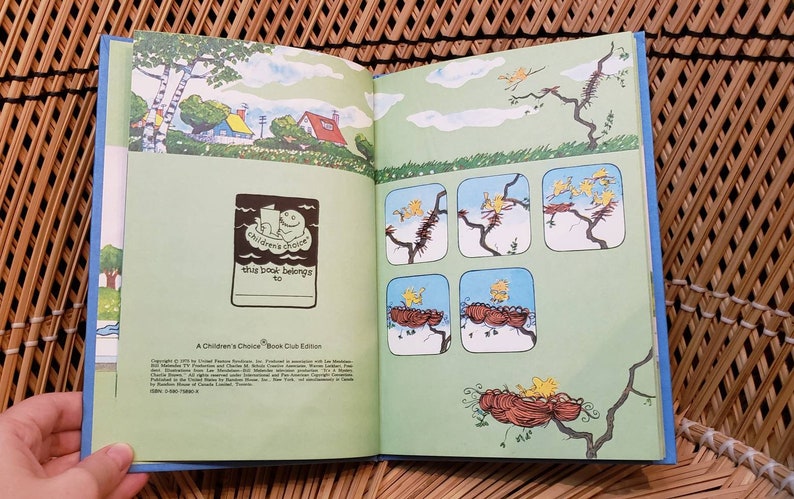 1975 It's A Mystery Charlie Brown by Charles M. Schulz - Etsy