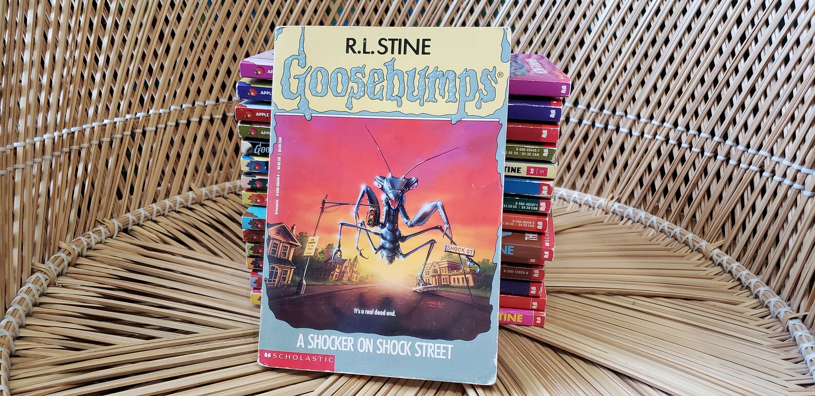 90s Goosebumps Books by R.L. Stein Scholastic, Buy 1 or All! - Etsy