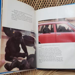 1987 Koko's Story by Dr. Francine Patterson, Hardcover - Etsy