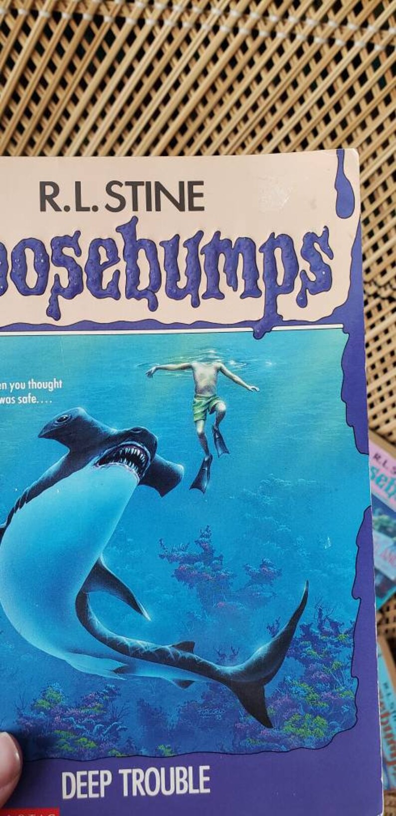 90s Goosebumps Books by R.L. Stein Scholastic Buy 1 or All - Etsy