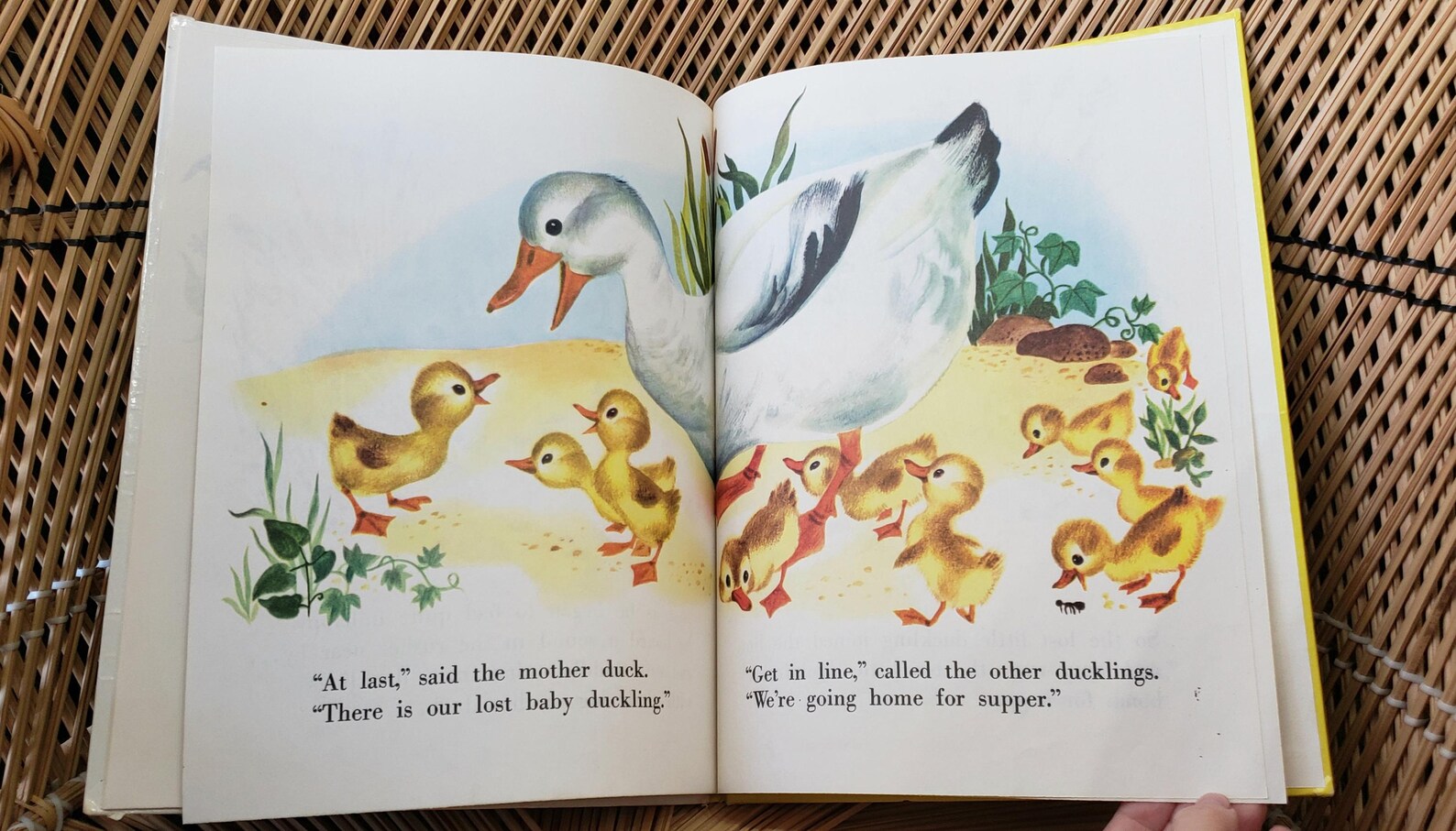 1977 the Fuzzy Duckling A Golden Book - Etsy