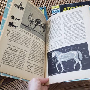 60s How and Why Wonder Books Set of 5, Soft Covers - Etsy