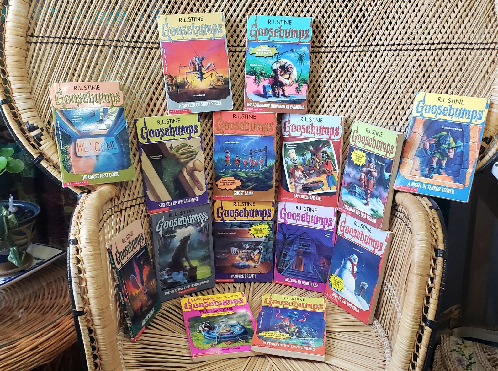 90s Goosebumps Books by R.L. Stein Scholastic, Buy 1 or All - Etsy