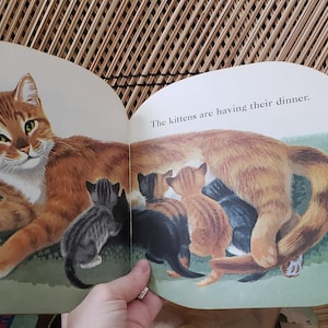 Vintage Kitten & Cat Books, Buy 1 or All - Etsy