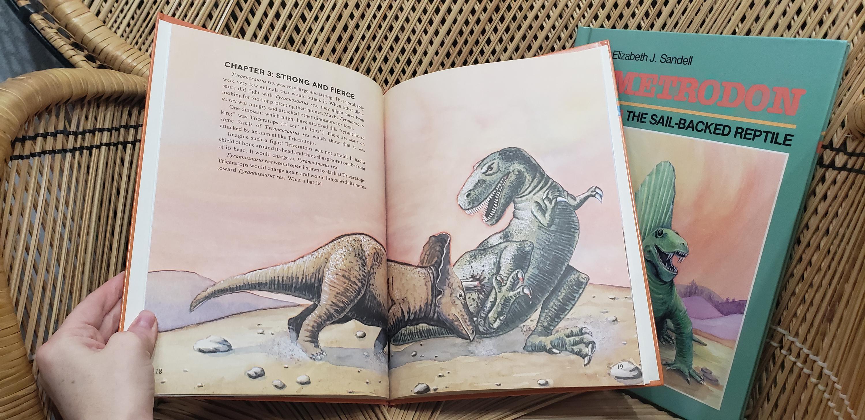 80s Dinosaur Books by Elizabeth J. Sandell Set of 2: Tyrannosaurus Rex ...