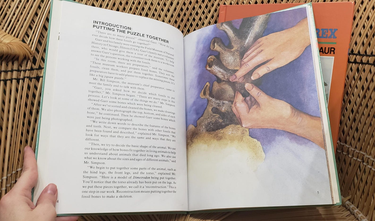 80s Dinosaur Books by Elizabeth J. Sandell Set of 2: Tyrannosaurus Rex ...