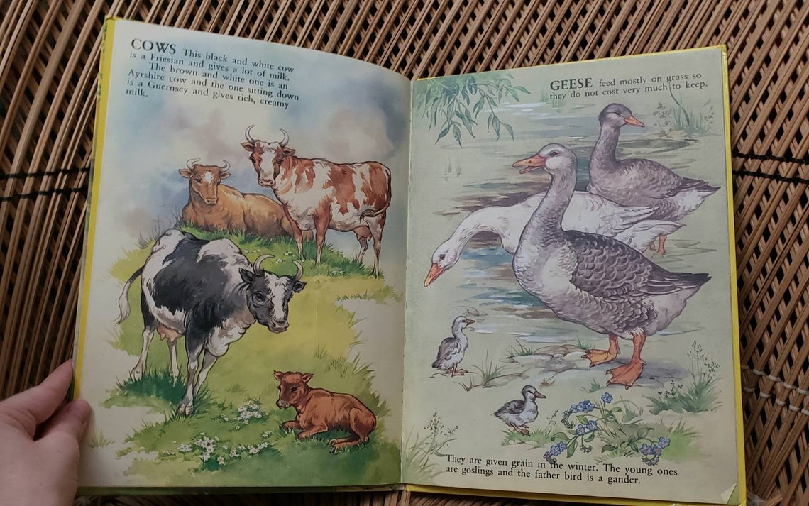 1981 My First Picture Book of Farm Animals Illustrated by Rene | Etsy