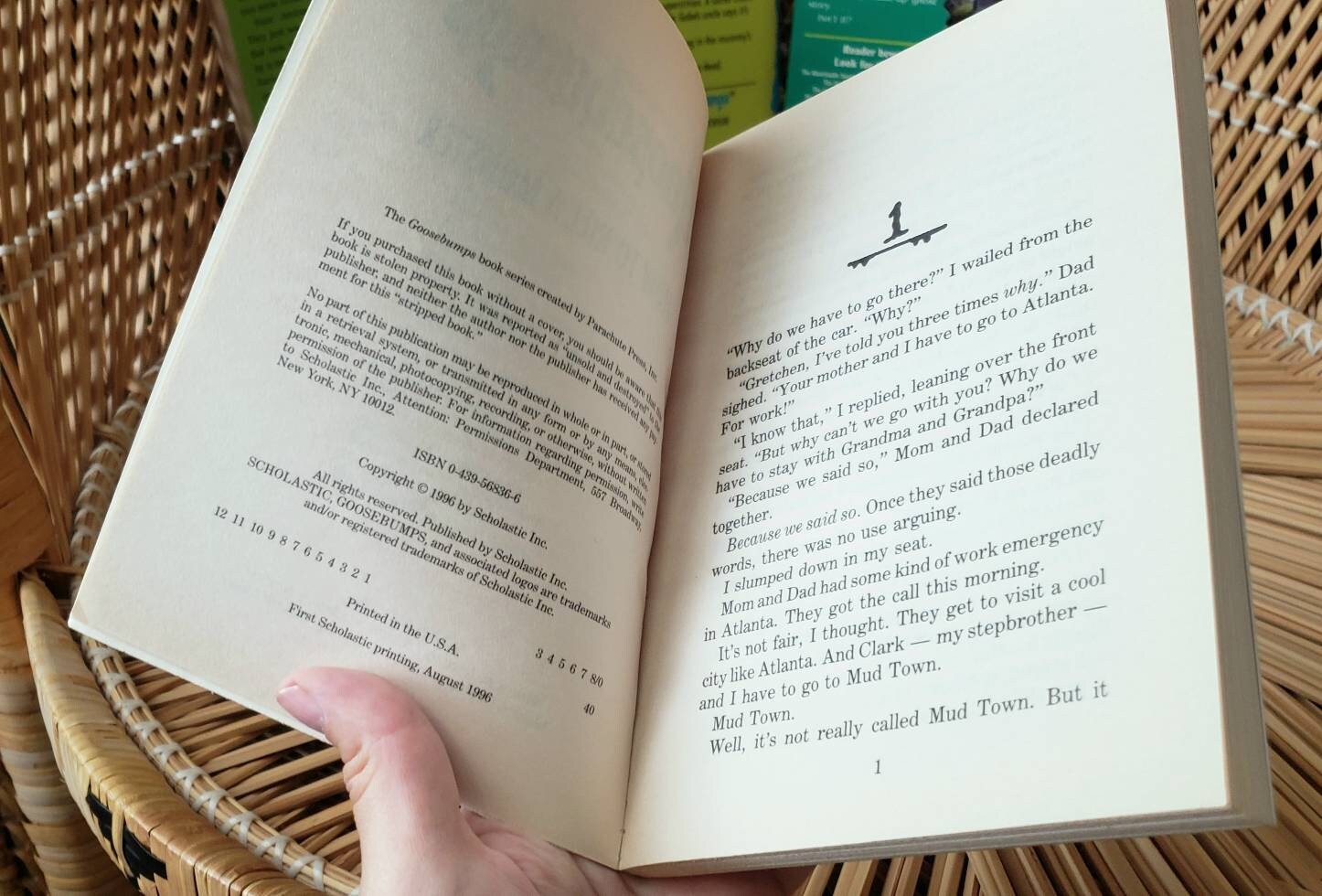 90s Goosebumps Books By R.L. Stein Scholastic Vintage | Etsy