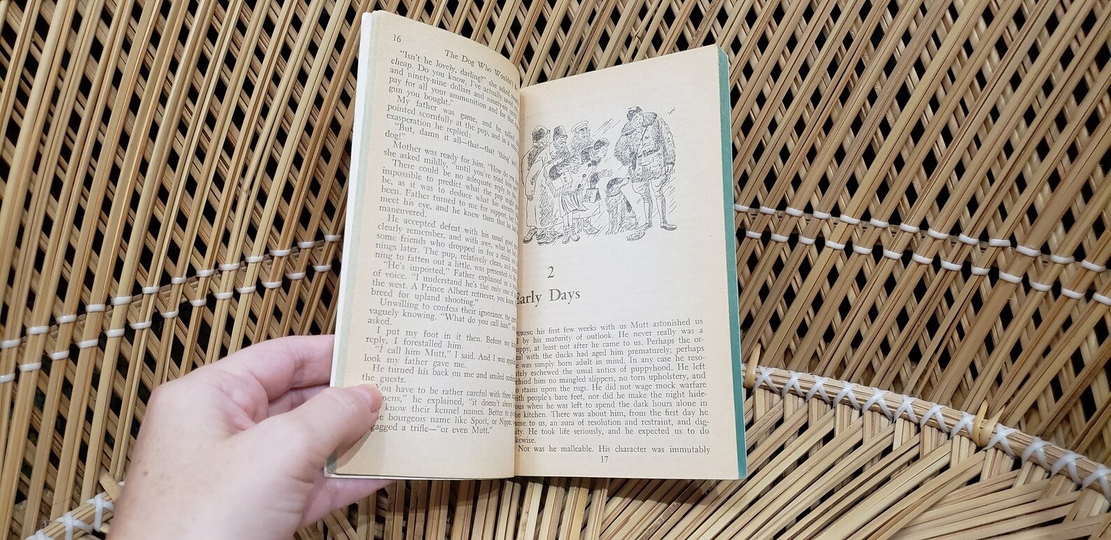 1976 the Dog Who Wouldn't Be by Farley Mowat, Paperback - Etsy
