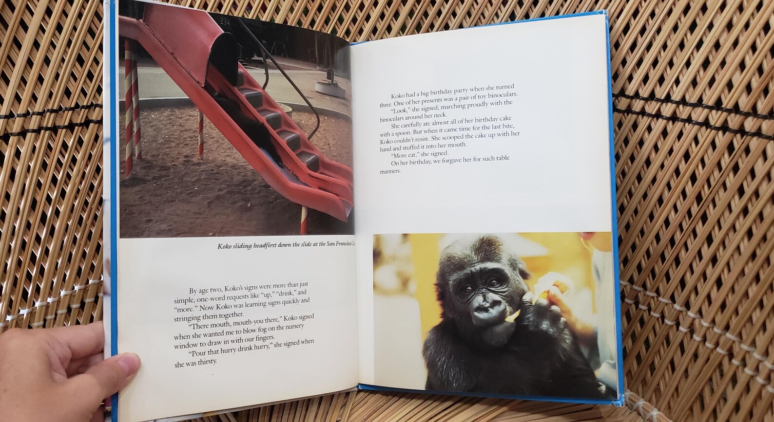 1987 Koko's Story by Dr. Francine Patterson, Hardcover - Etsy