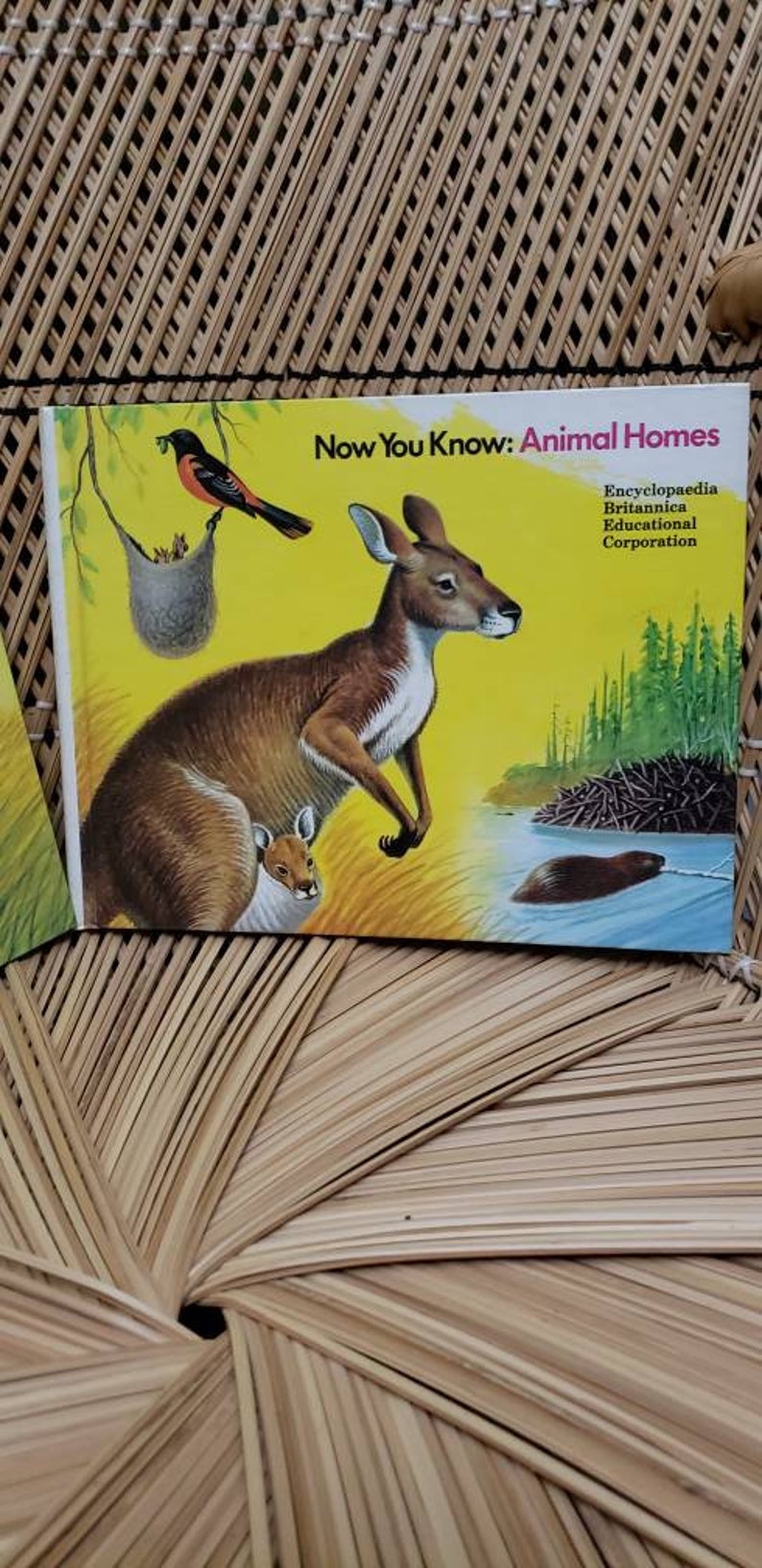 1972 Now You Know Books Set of 2, Now You Know Animal Homes & Now You ...