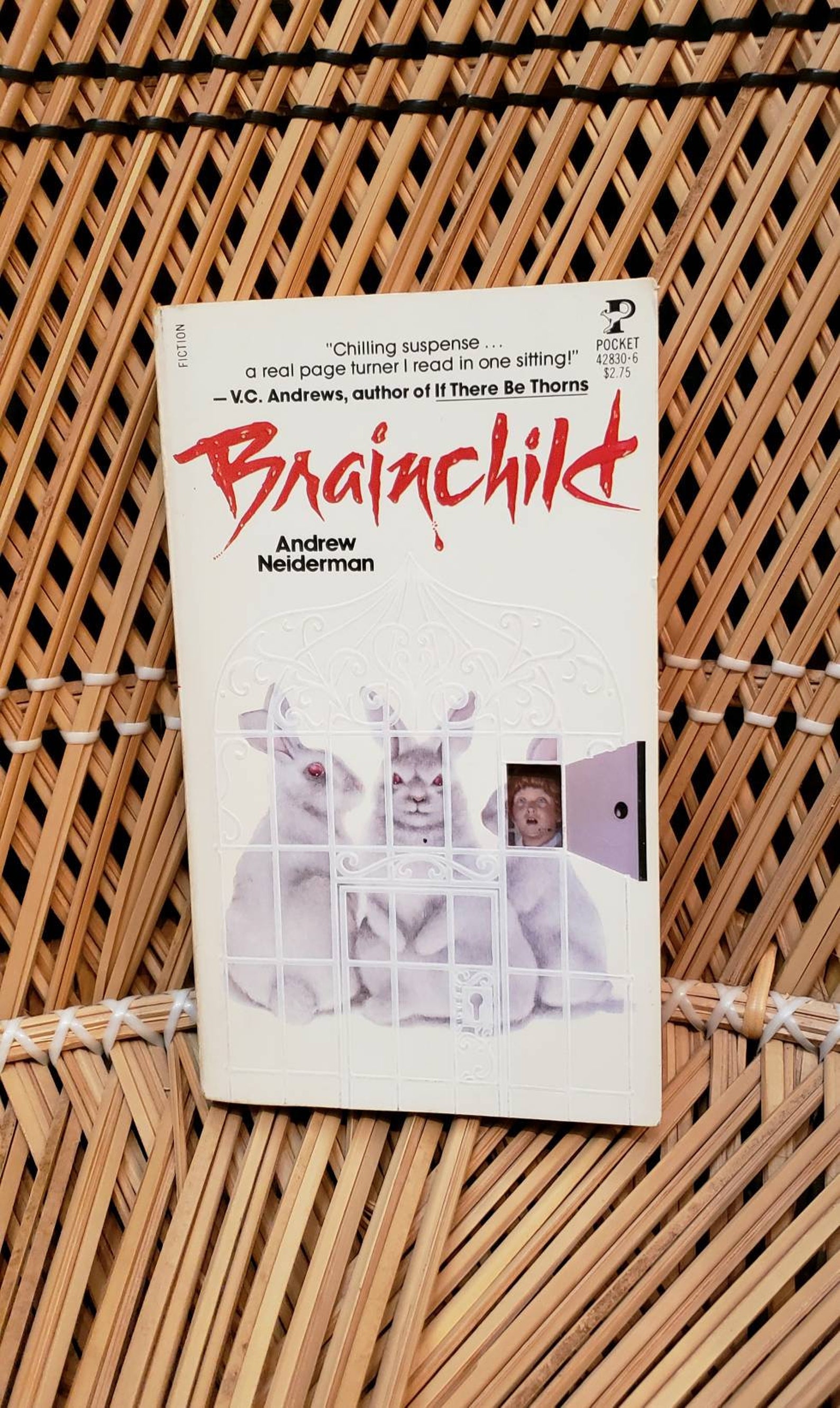 1981 Brainchild by Andrew Neiderman Paperback - Etsy