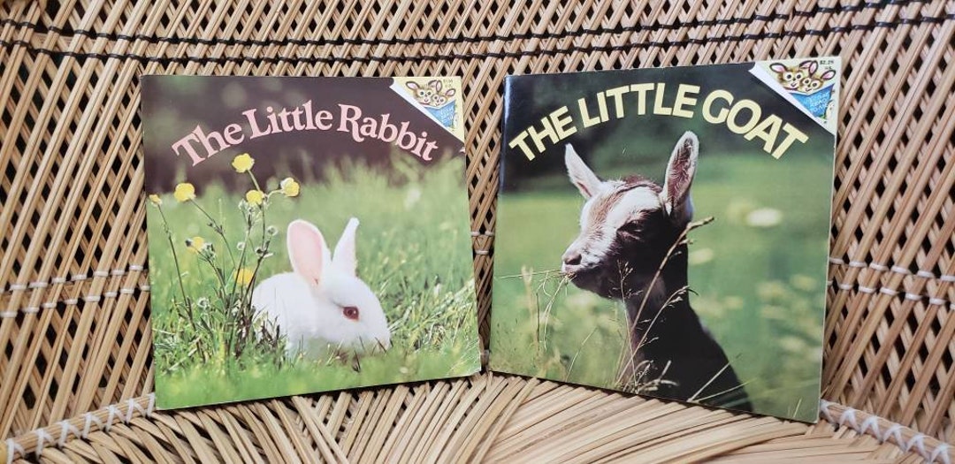 Vintage the Little Rabbit & the Little Goat Books Set of 2 - Etsy