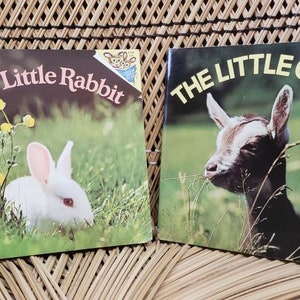 Vintage the Little Rabbit & the Little Goat Books Set of 2 - Etsy