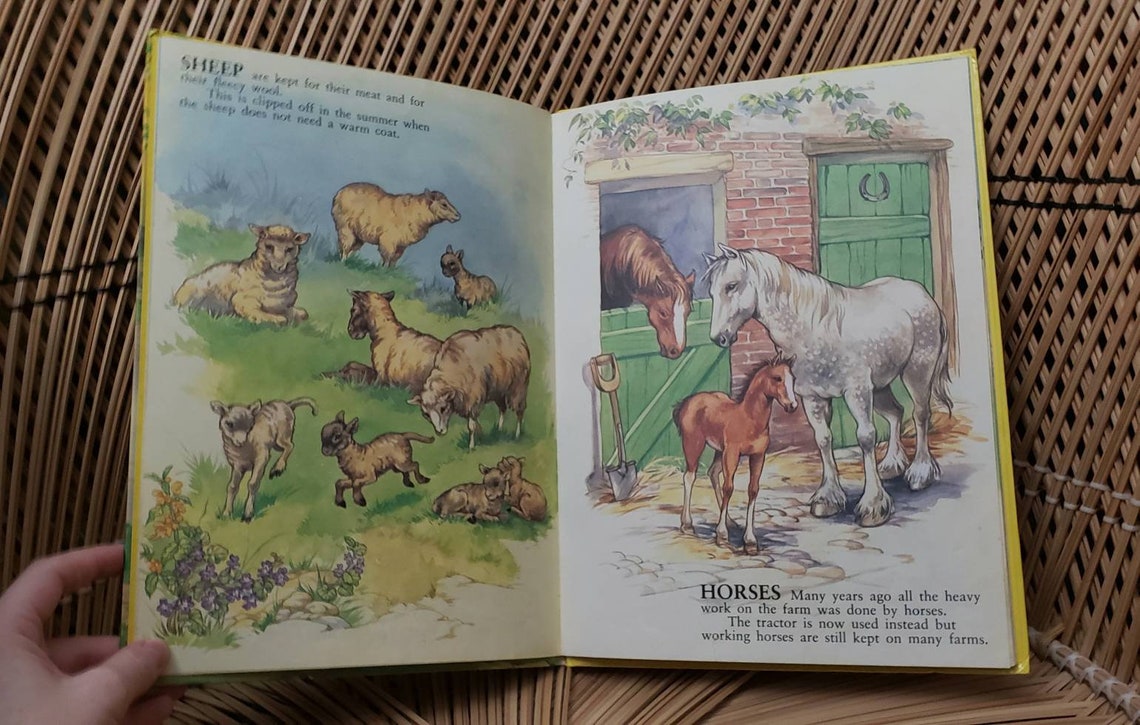 1981 My First Picture Book of Farm Animals Illustrated by Rene | Etsy